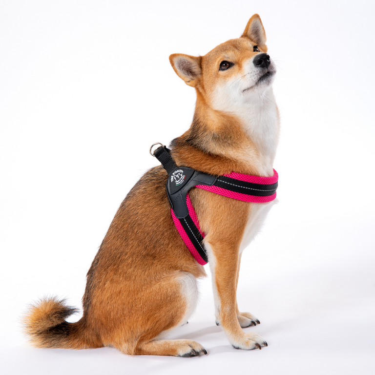 Dog harness with ergonomic structure and camouflage insert | Tre Ponti