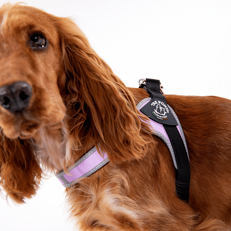 Adjustable dog harness | Tre Ponti