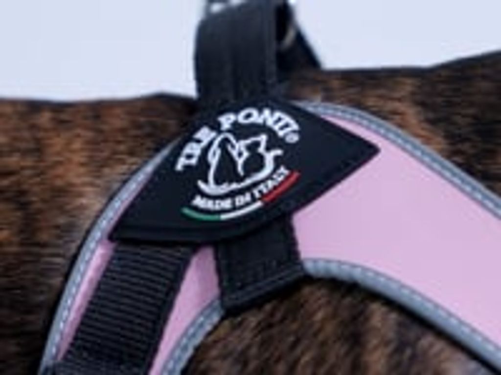 Brio harness for medium and large dogs with reflective trim | Tre Ponti