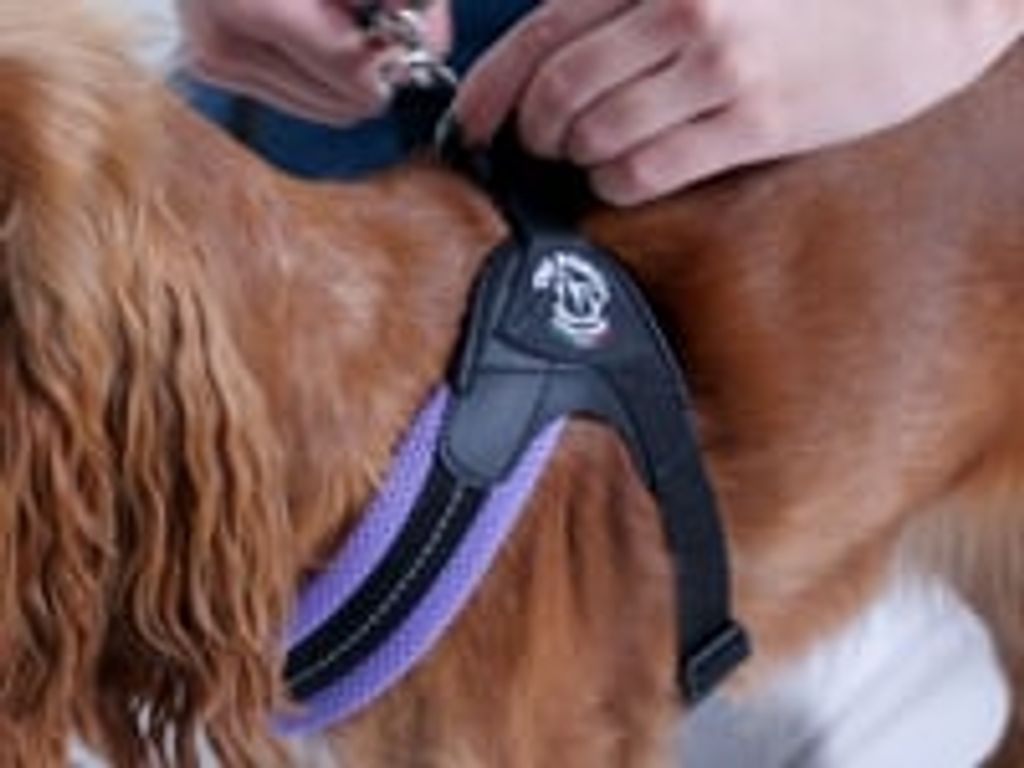 Mesh harness with adjustable girth | Tre Ponti